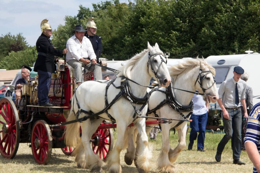 Photos taken over the 2016 Woodcote Rally weekend